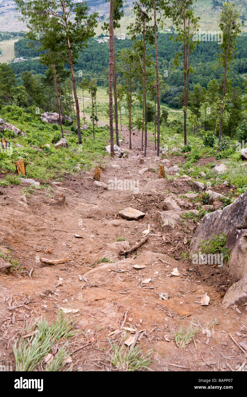 Erosion on Dedza Mountain caused by logging and timber extraction ...
