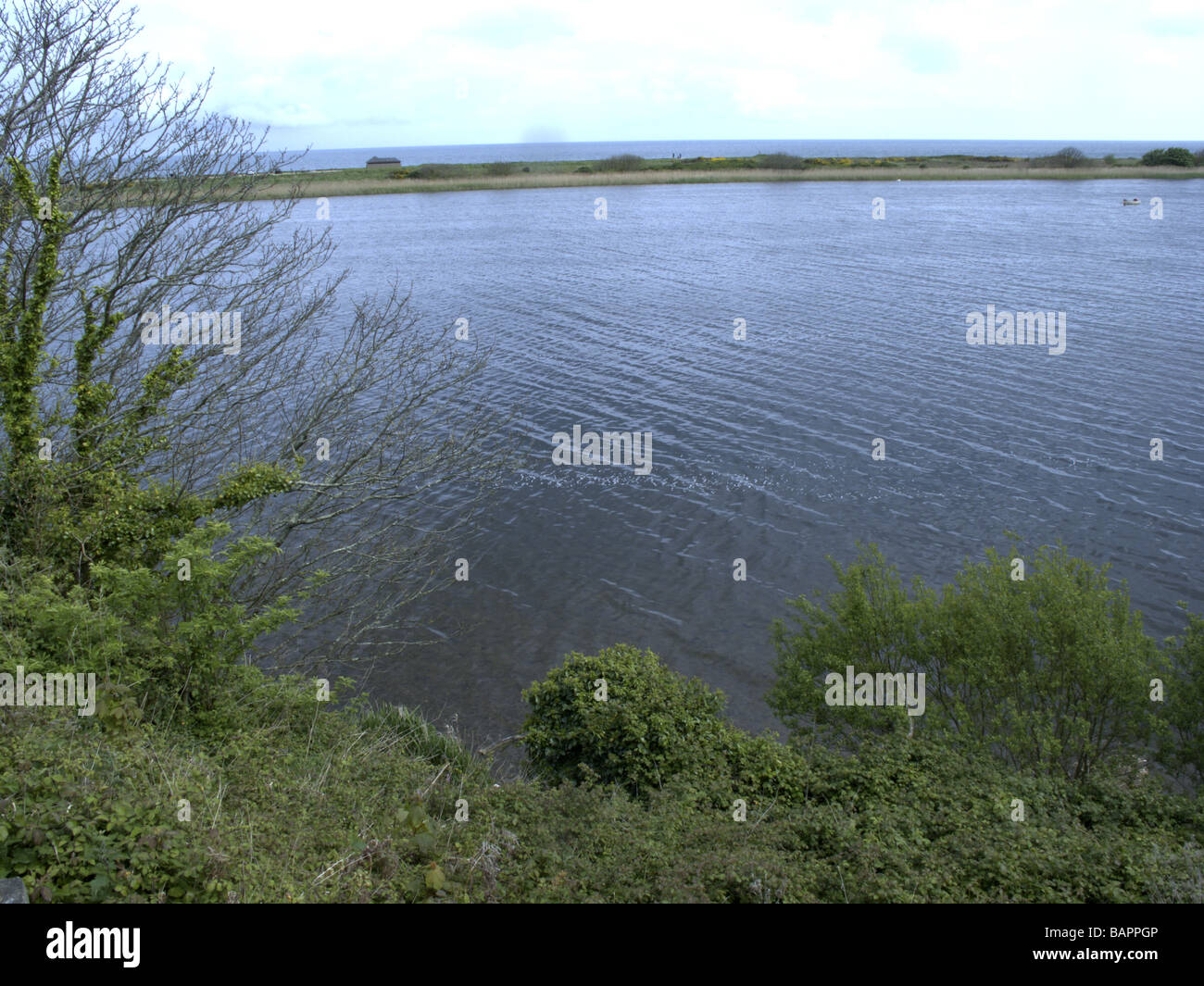 Slapton ley hi-res stock photography and images - Alamy