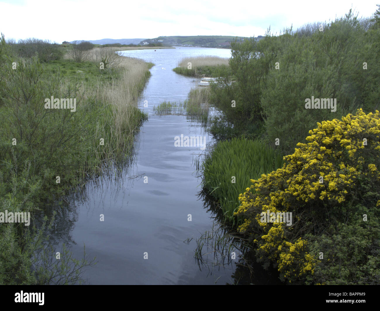 Slapton ley hi-res stock photography and images - Alamy