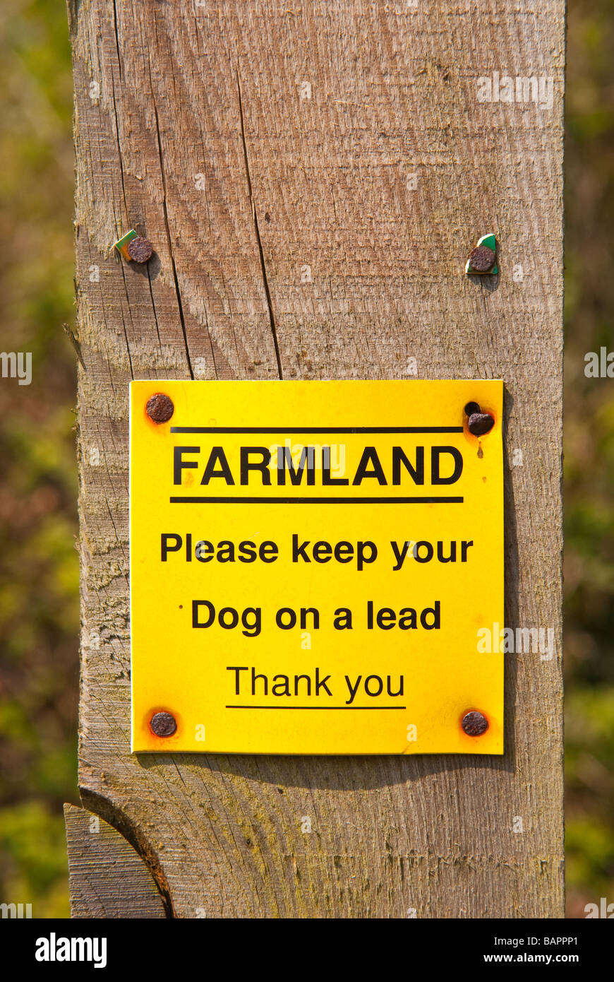 Signs please thank you hi-res stock photography and images - Alamy