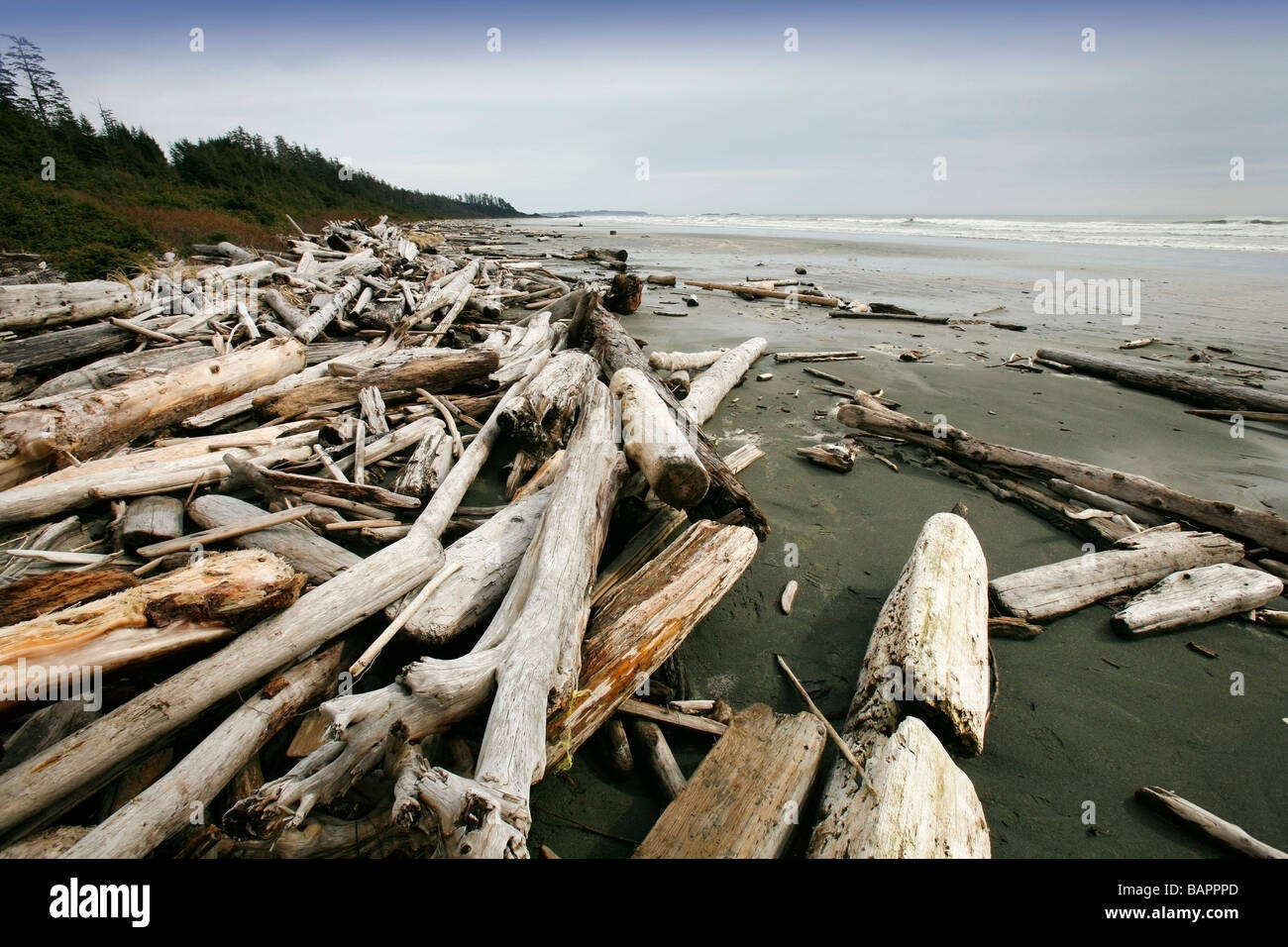 Long Beach, Pacific Rim National Park, Vancouver Island, British ...