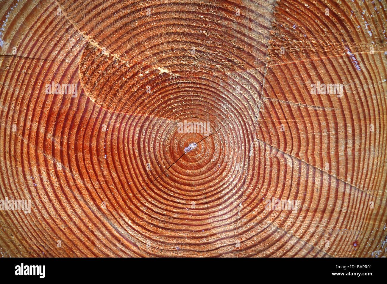Sawn timber hi-res stock photography and images - Alamy