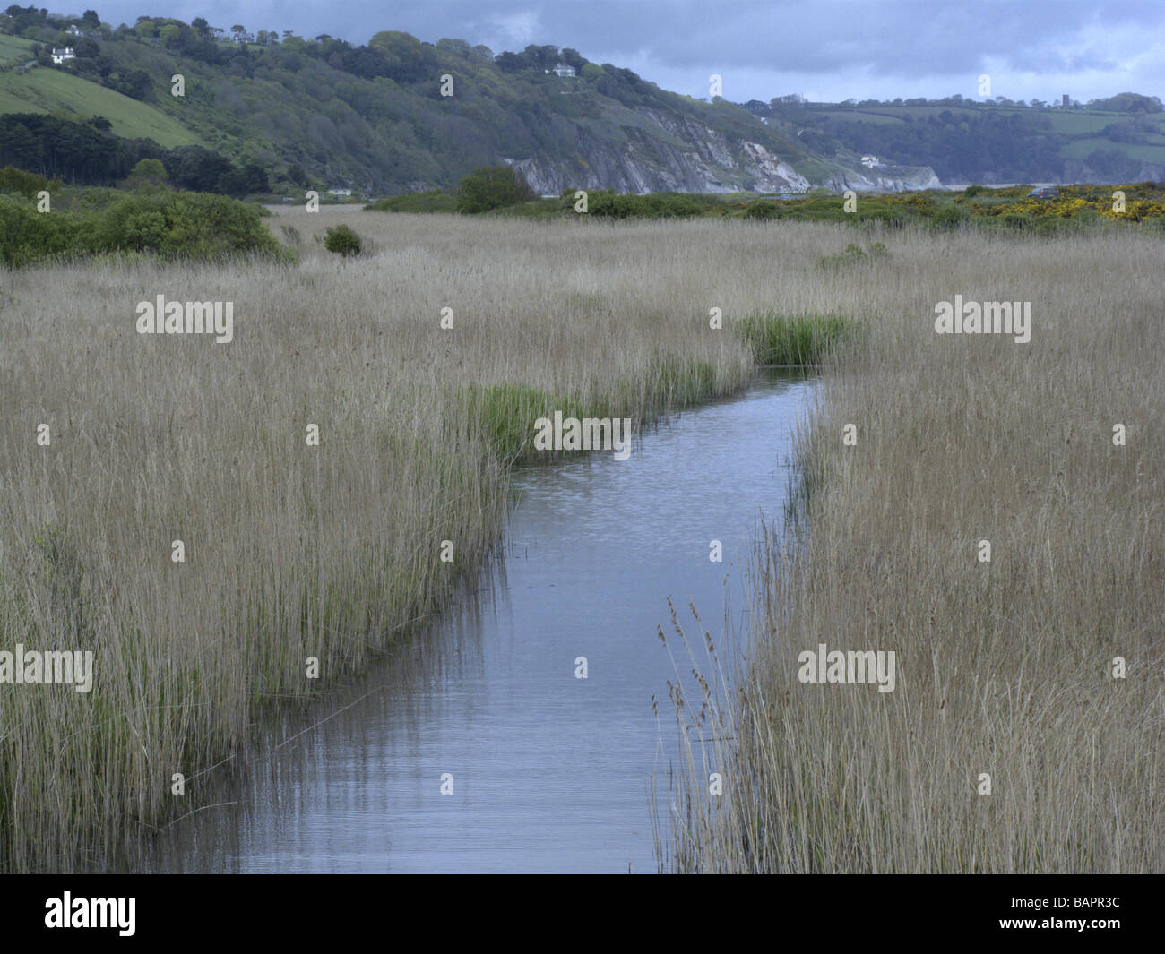 Slapton Ley Devon Stock Photo - Alamy