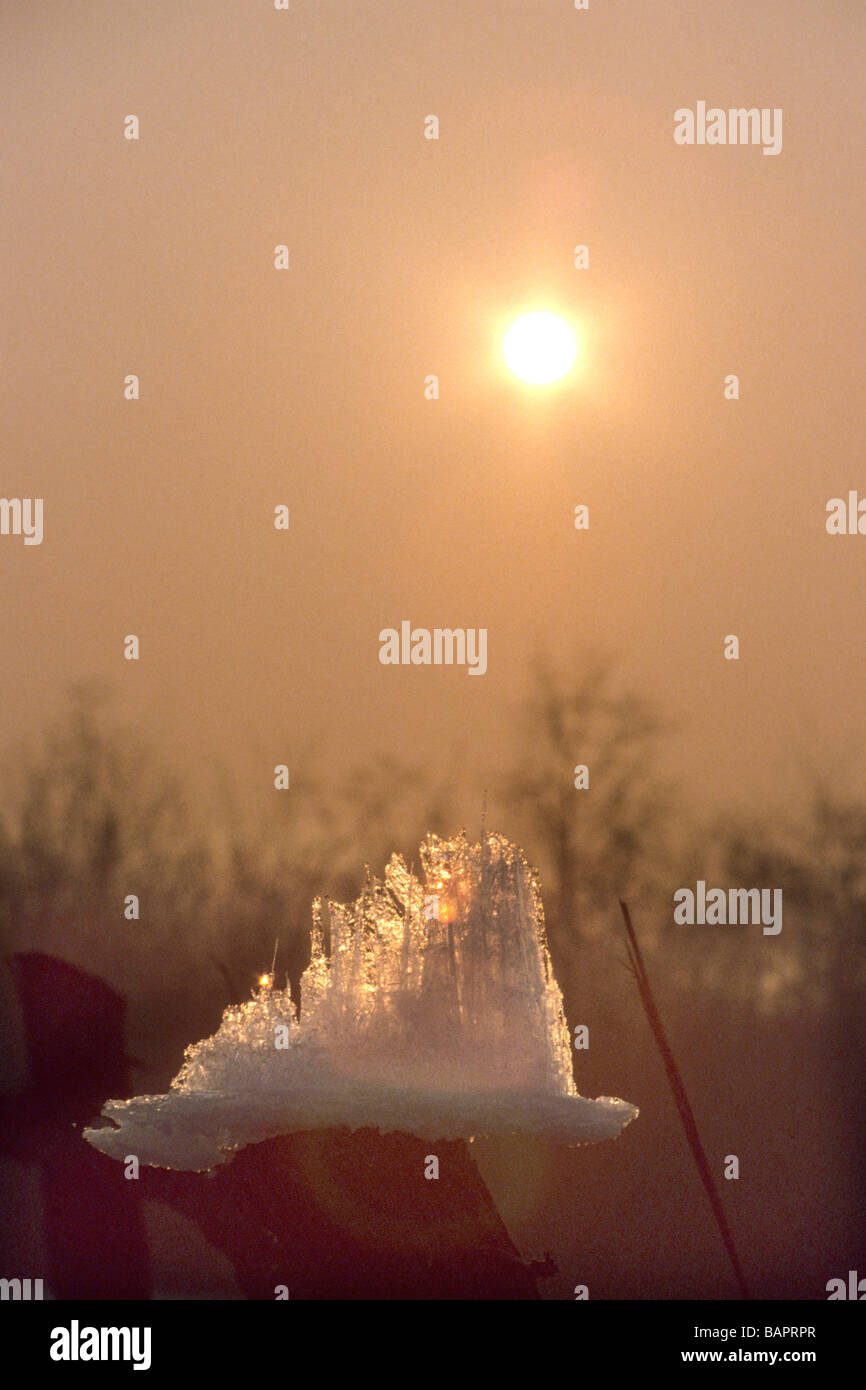 Sutter buttes hi-res stock photography and images - Alamy