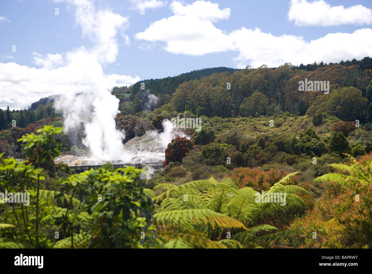 Rotarua hi-res stock photography and images - Alamy