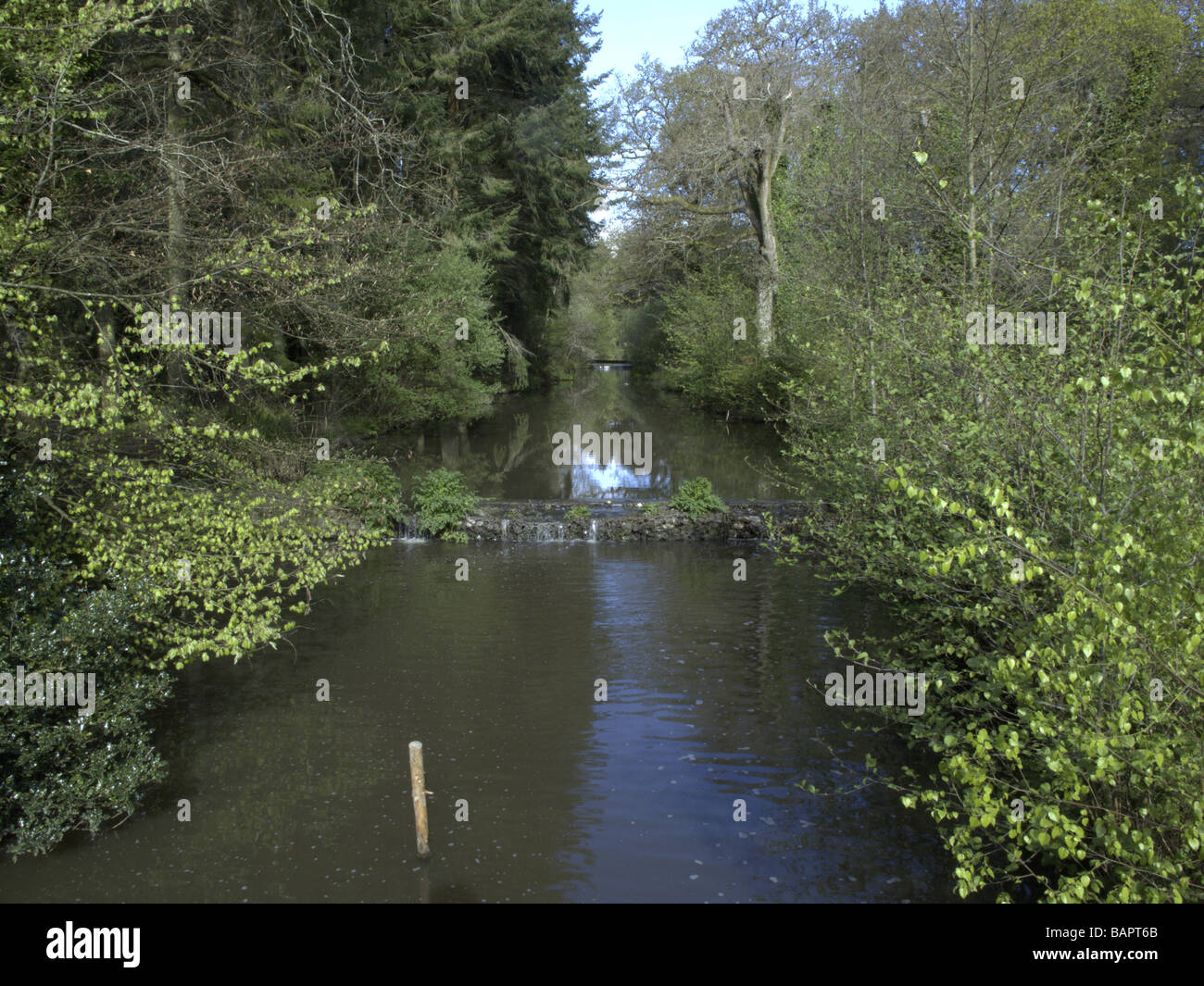 Stover Country Park Devon Stock Photo - Alamy