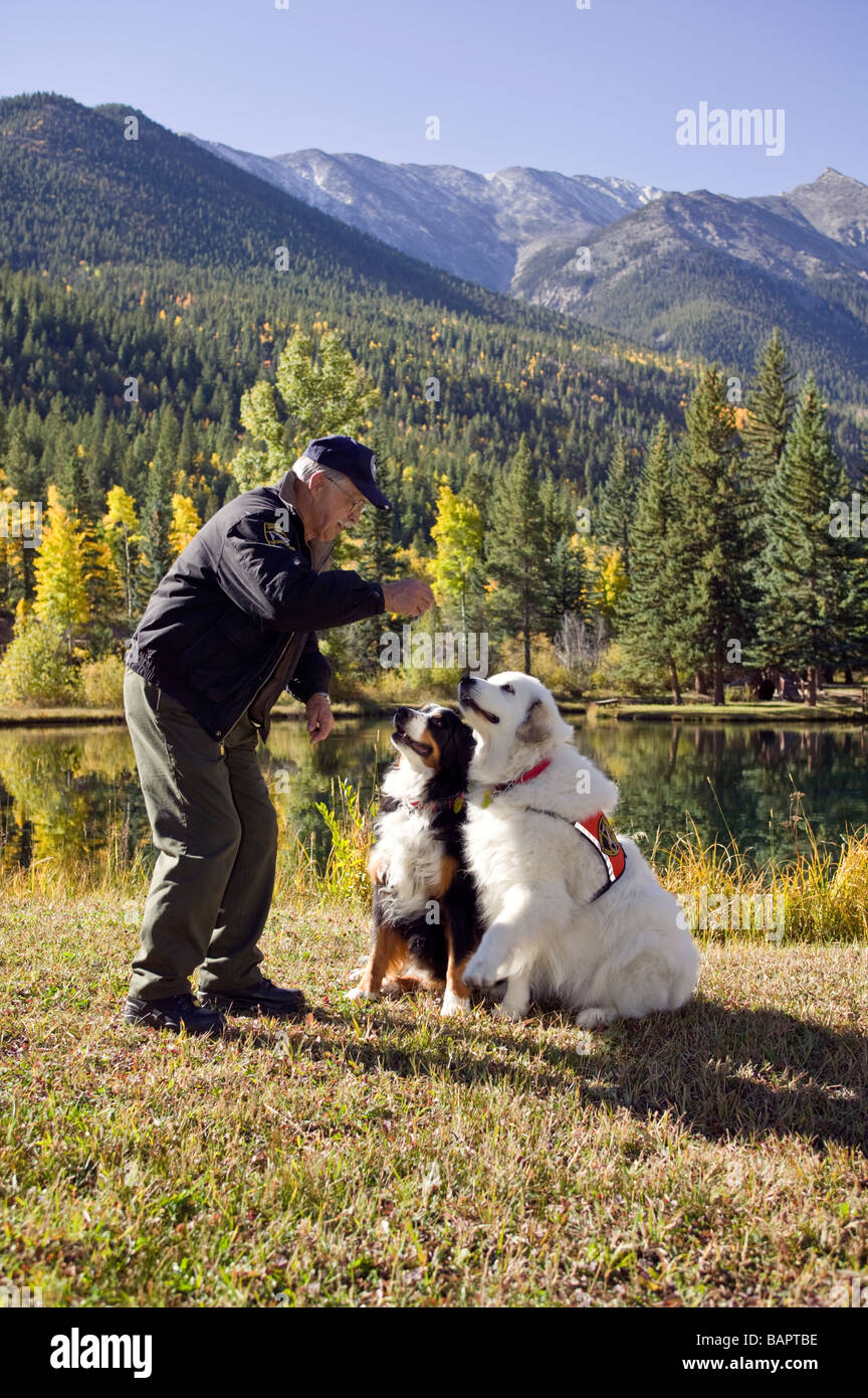 Are Great Pyrenees Good Emotional Support Dogs at Daniel Gilmore blog