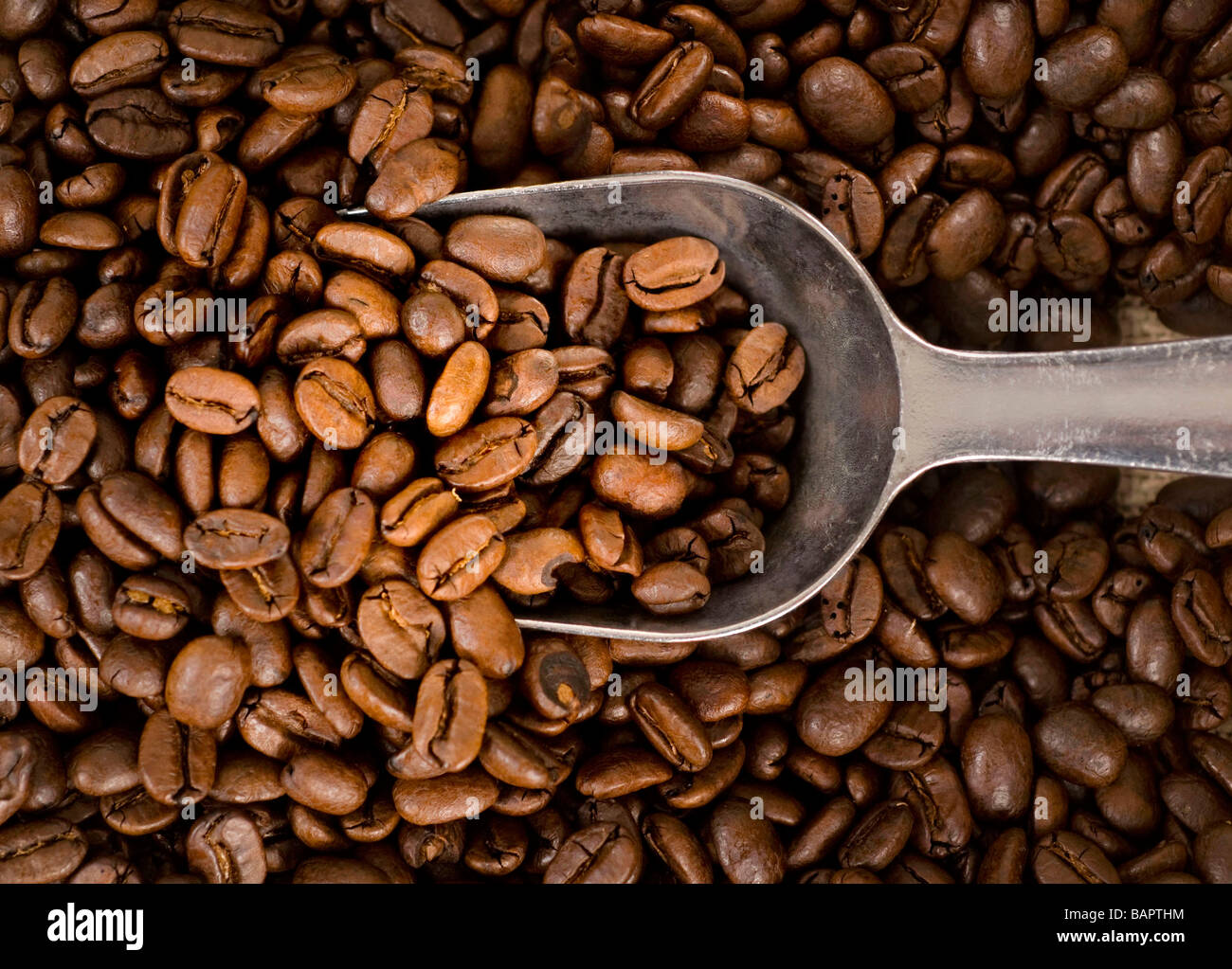Close up photograph of fresh coffee beans and shovel Stock Photo - Alamy