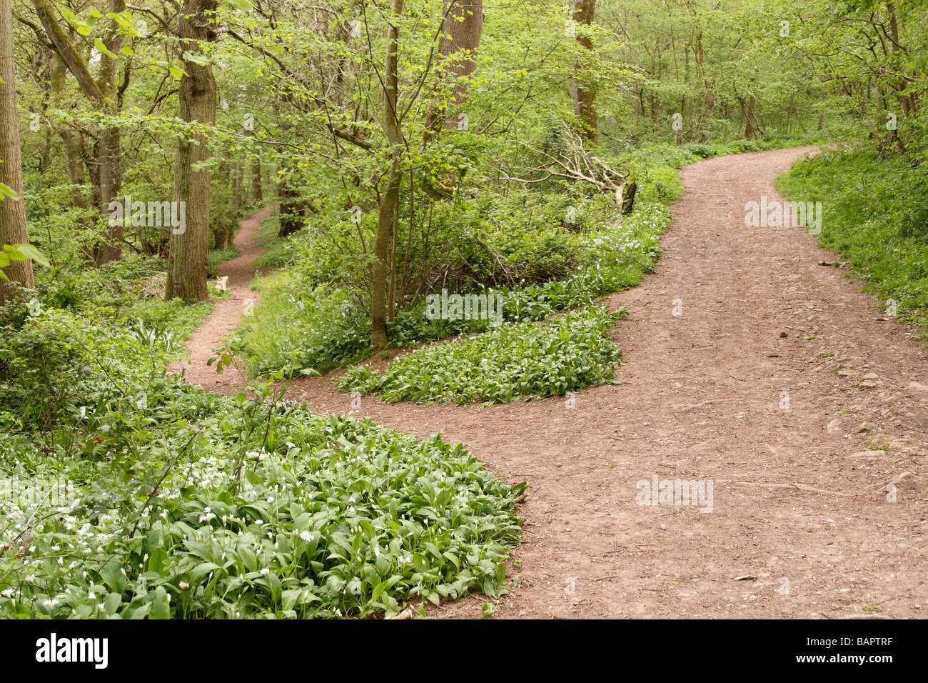 Easy difficult route hi-res stock photography and images - Alamy