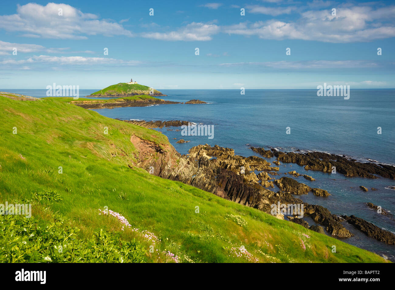 green grass on cliffs overlooking blue waters Ballycotton Bay, Co.Cork ...