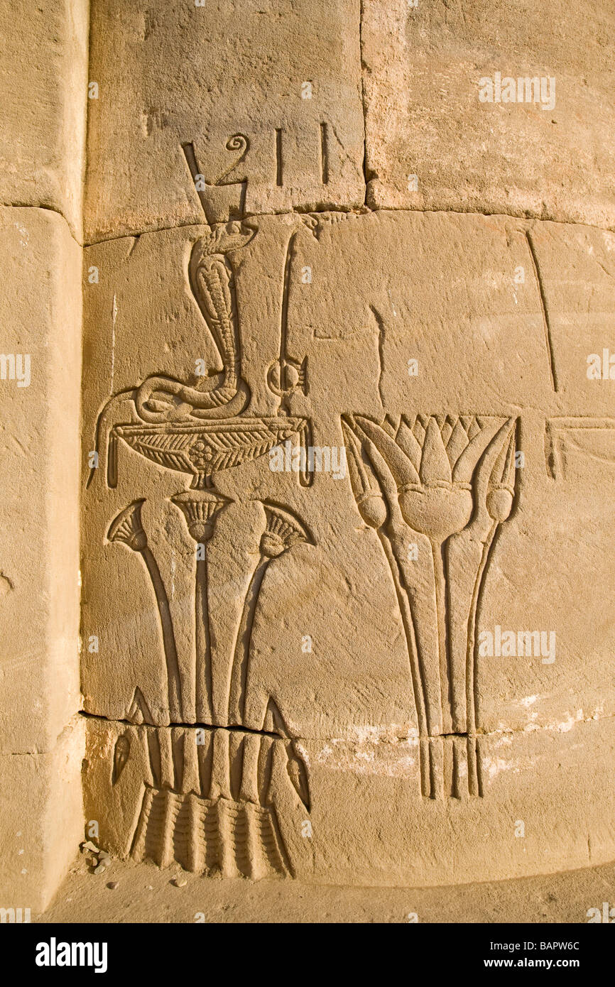 Unfinished border on wall of Roman Bath house at Dendera Temple, Nile ...