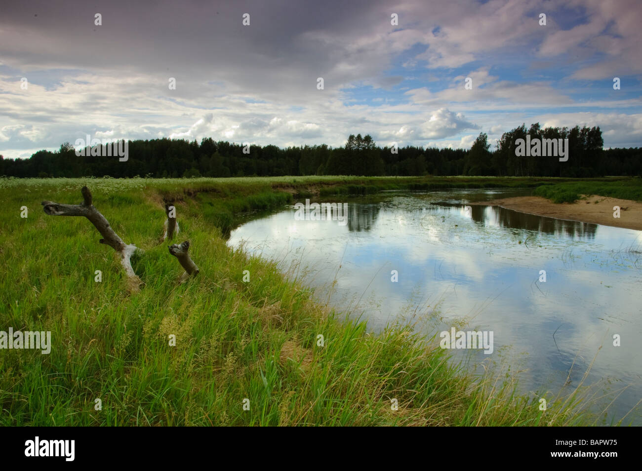 Riverside of Gauja River in North Latvia Stock Photo - Alamy
