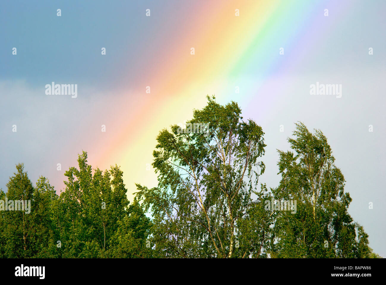 Rainbow Over Forest High Resolution Stock Photography and Images - Alamy