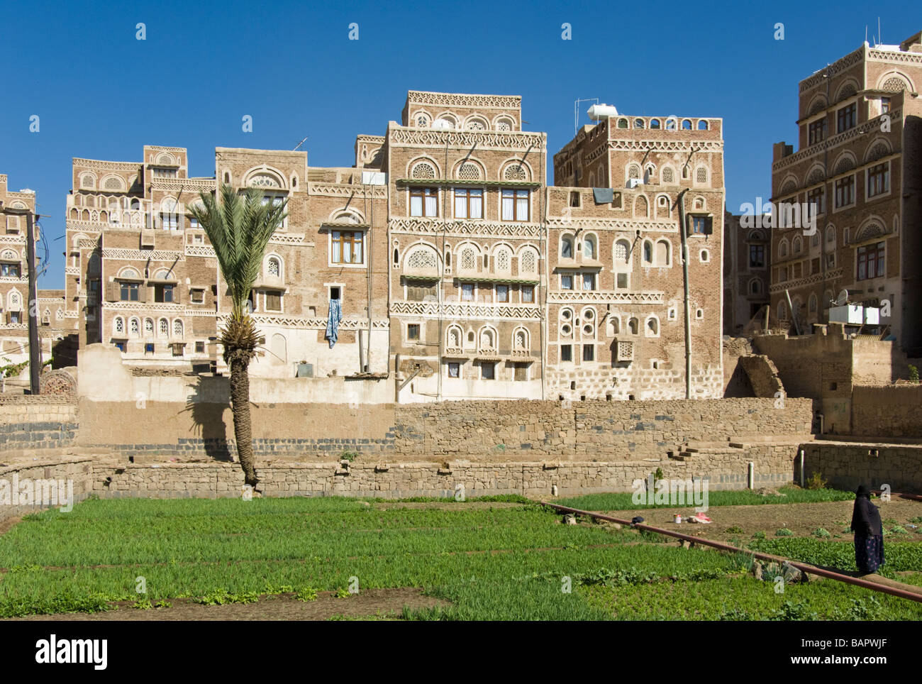 Traditional garden bustan with buildings in the old town district of ...