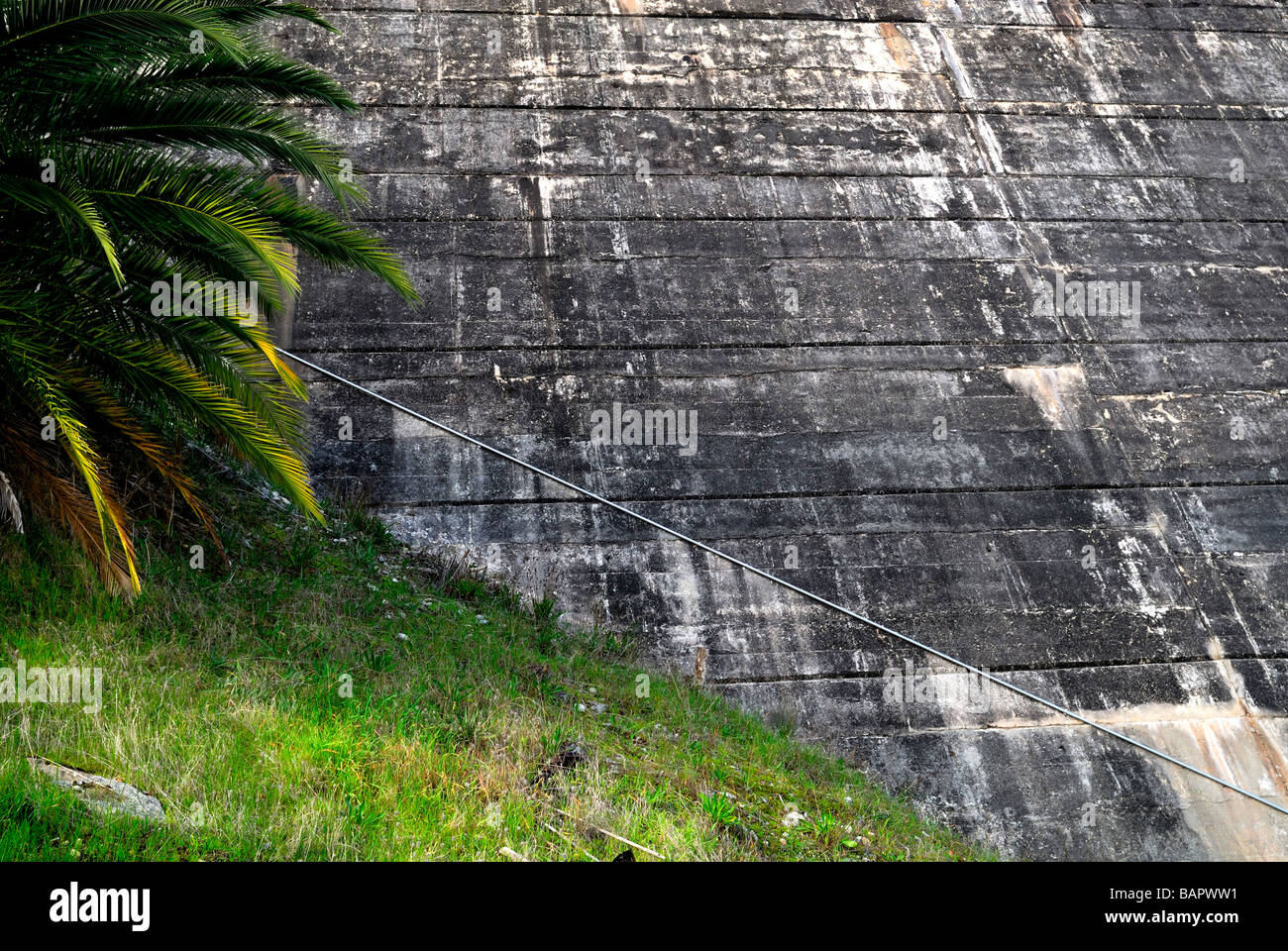 Weir wall and palm tree. Mundaring Weir, Mundaring, Western Australia ...
