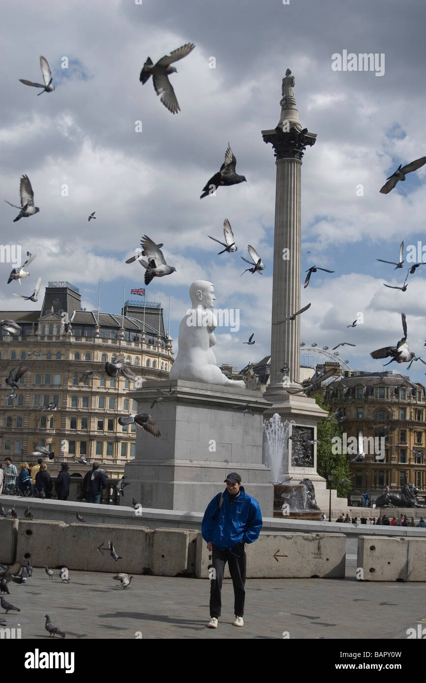 Pigeons fly above Trafalgar Square Stock Photo - Alamy