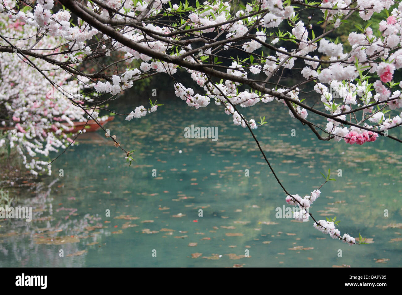 Hangzhou natural beauty hi-res stock photography and images - Alamy