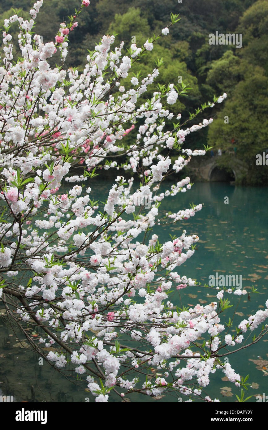 Hangzhou natural beauty hi-res stock photography and images - Alamy