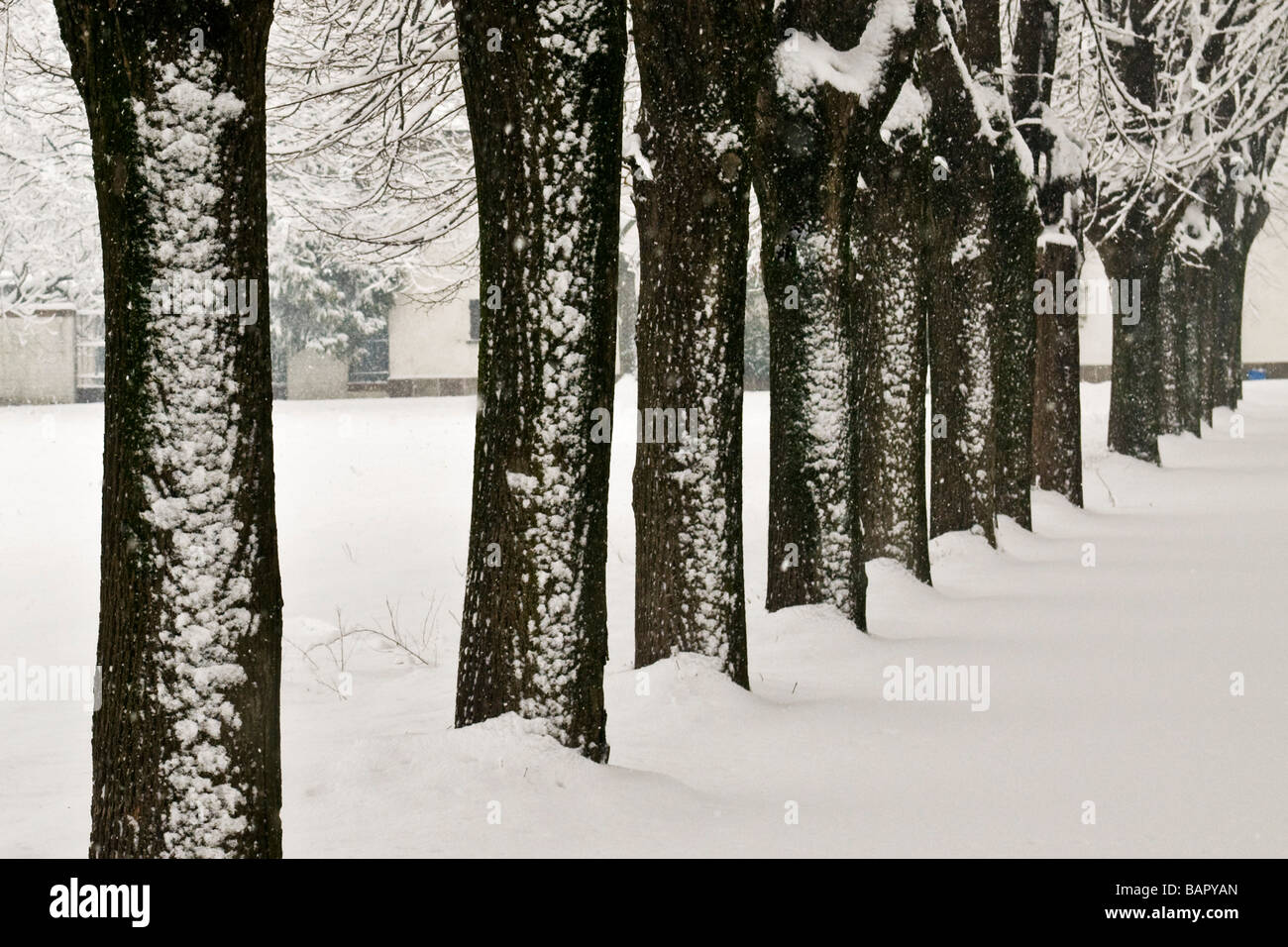 Italy snow white milan hi-res stock photography and images - Alamy