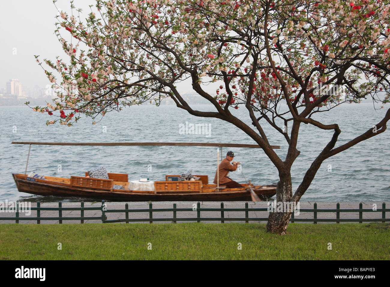 Chinese rowing boat hi-res stock photography and images - Alamy