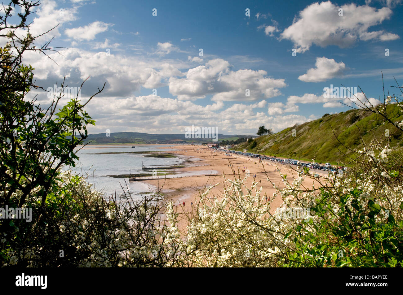 Looking Along Exmouth Beach In Spring, Devon UK Stock Photo - Alamy