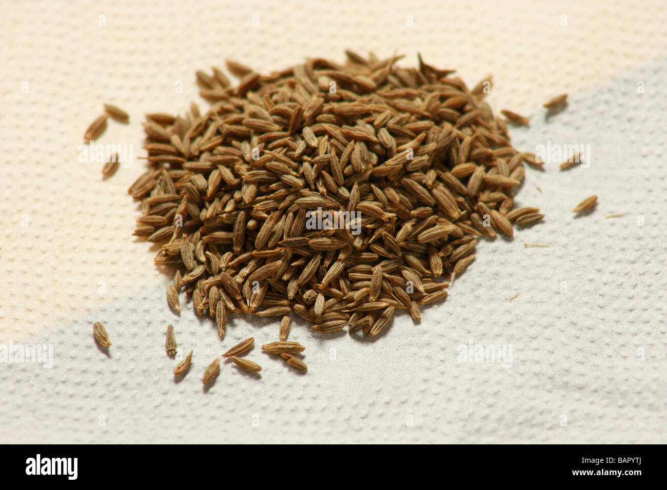 Cumin is a flowering plant from the east Mediterranean to East India ...