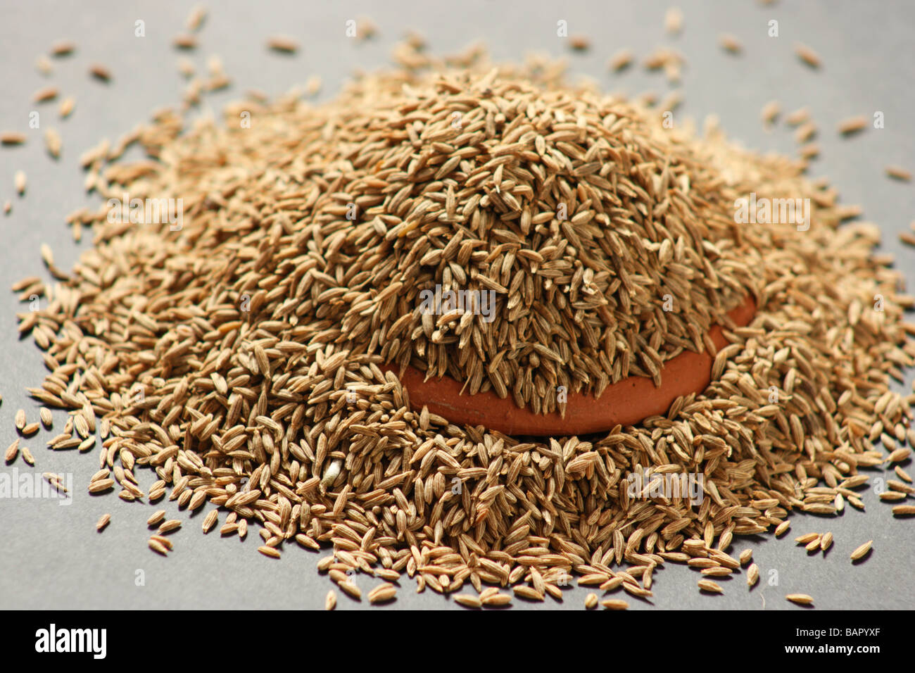 Cumin is a flowering plant from the east Mediterranean to East India ...