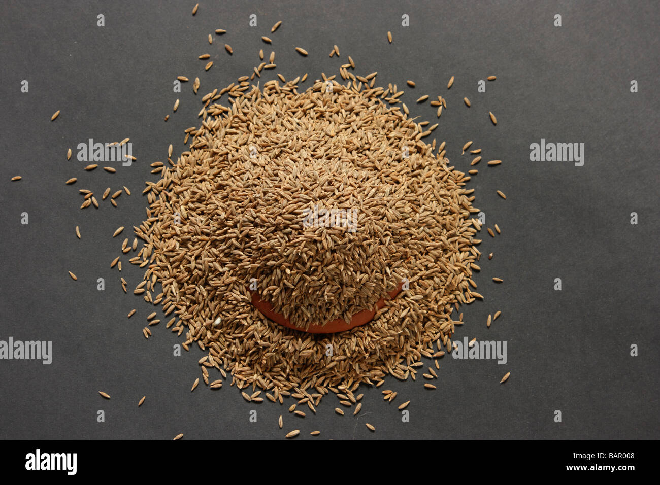 Cumin is a flowering plant from the east Mediterranean to East India ...