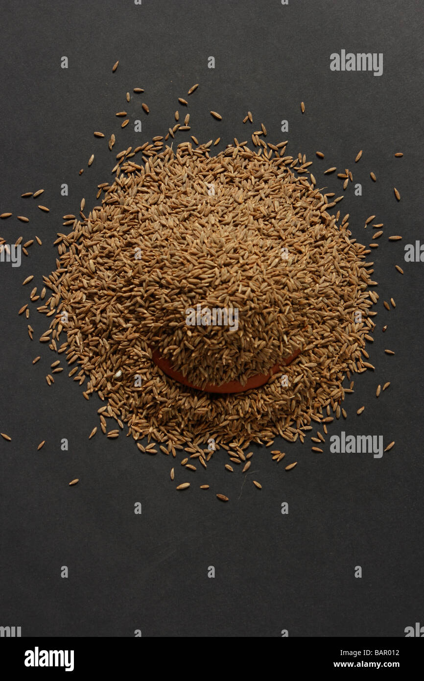 Cumin is a flowering plant from the east Mediterranean to East India ...
