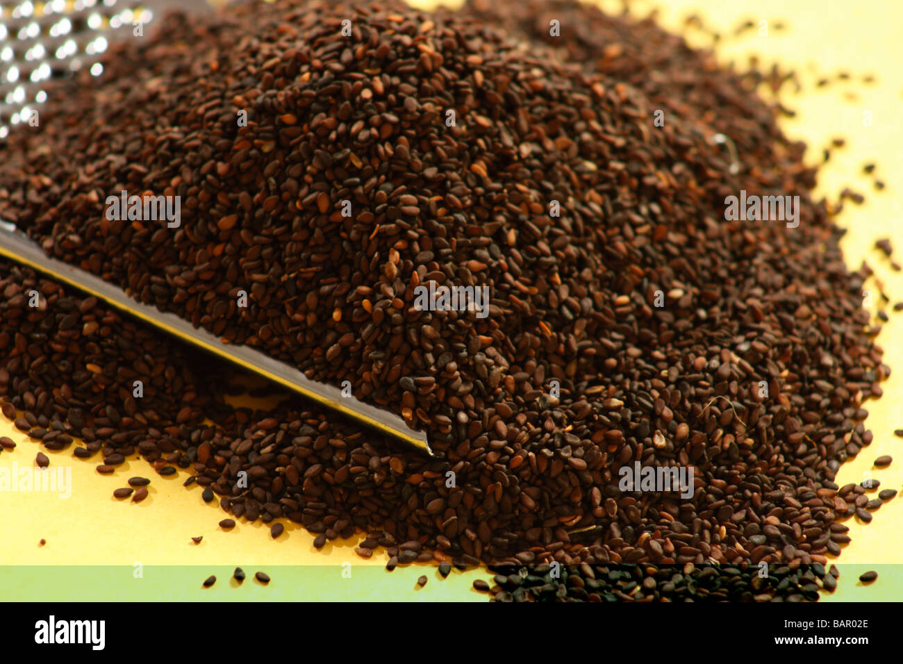 Black Thill, Sesame, Thil or Til is used as a spice in a number of ...