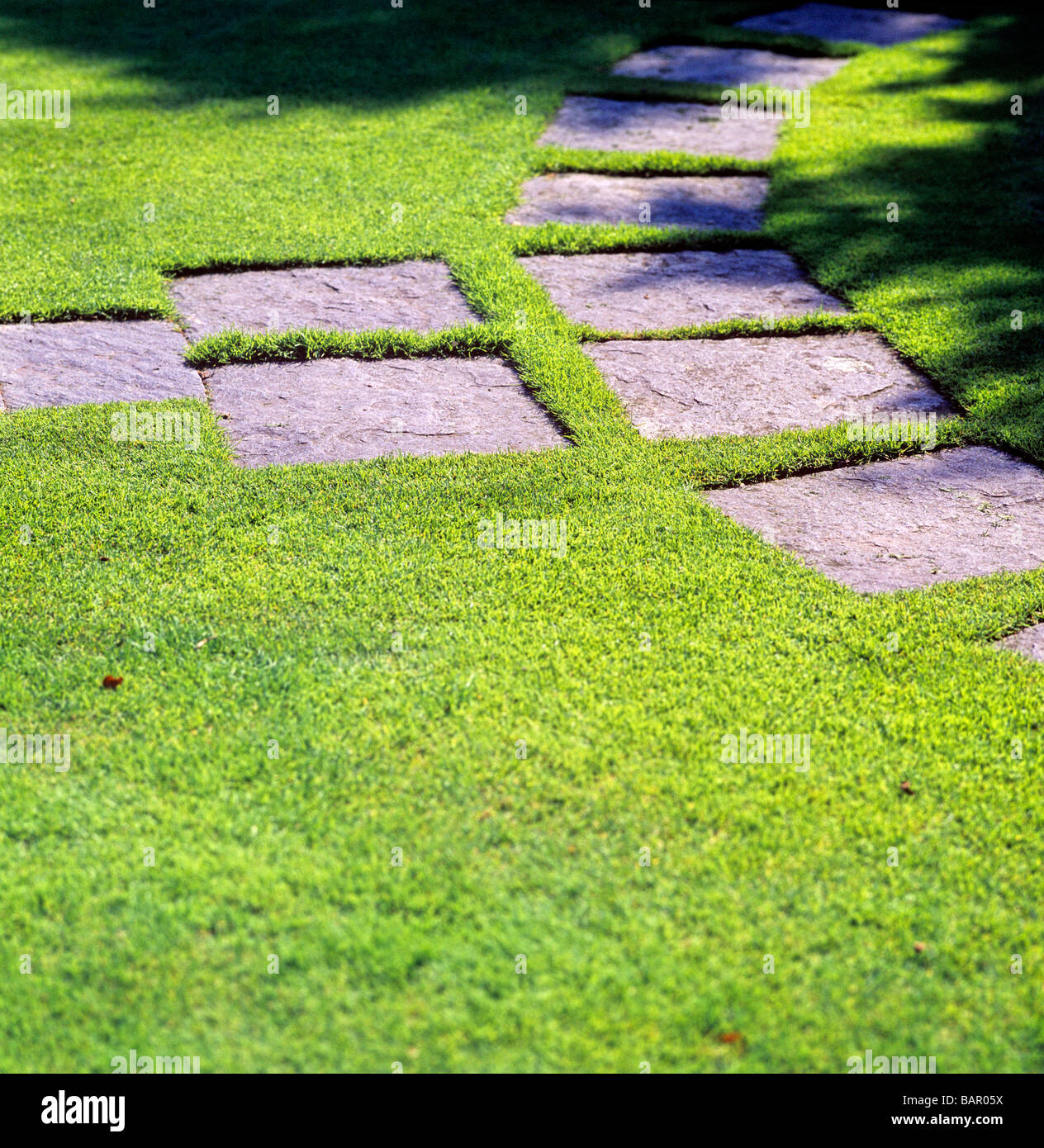 Rasen plate hi-res stock photography and images - Alamy