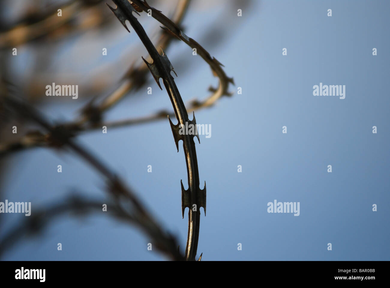 Razor wire against blue sky Stock Photo - Alamy