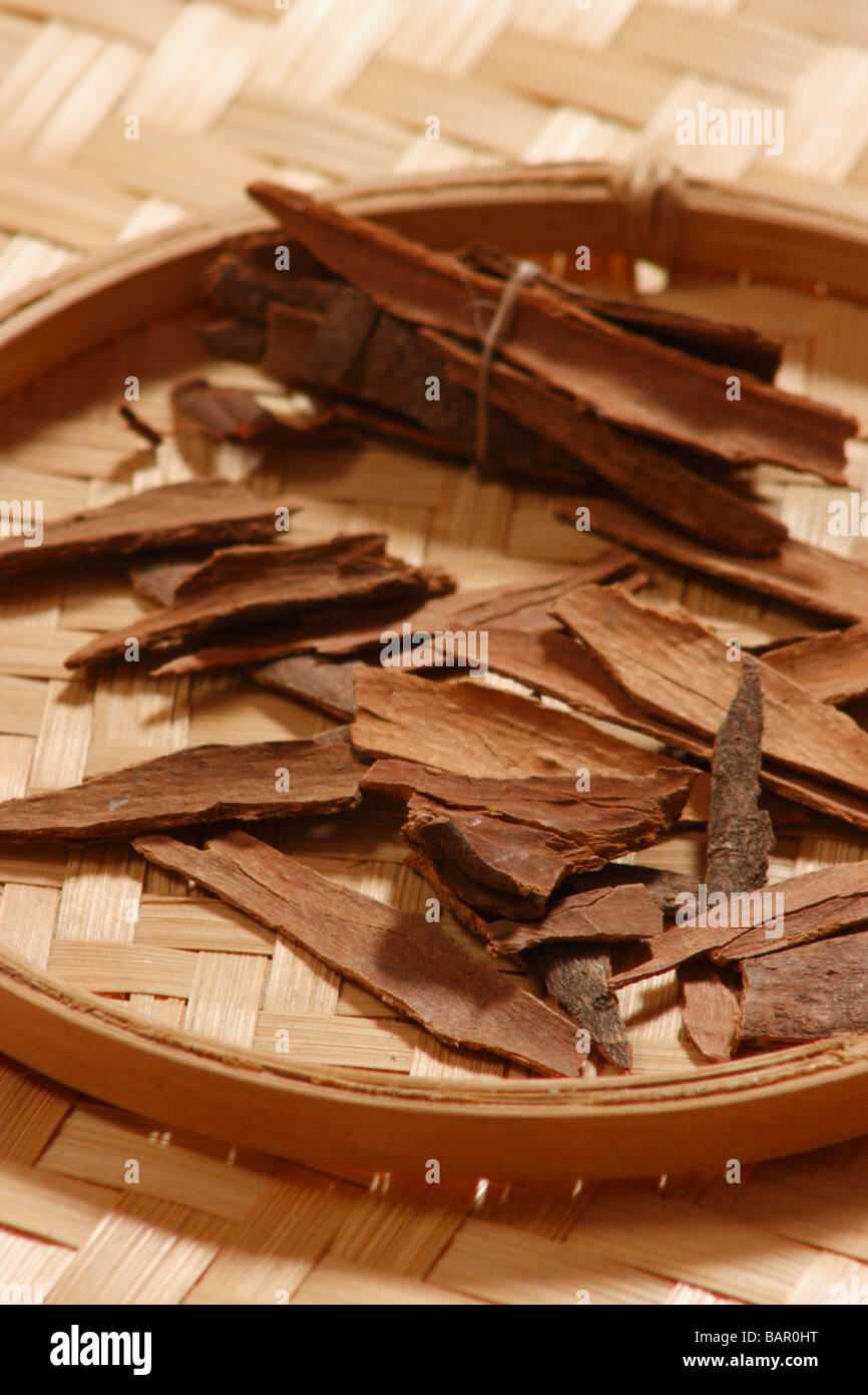 Cinnamon is a small evergreen tree from Sri Lanka, its bark widely used ...