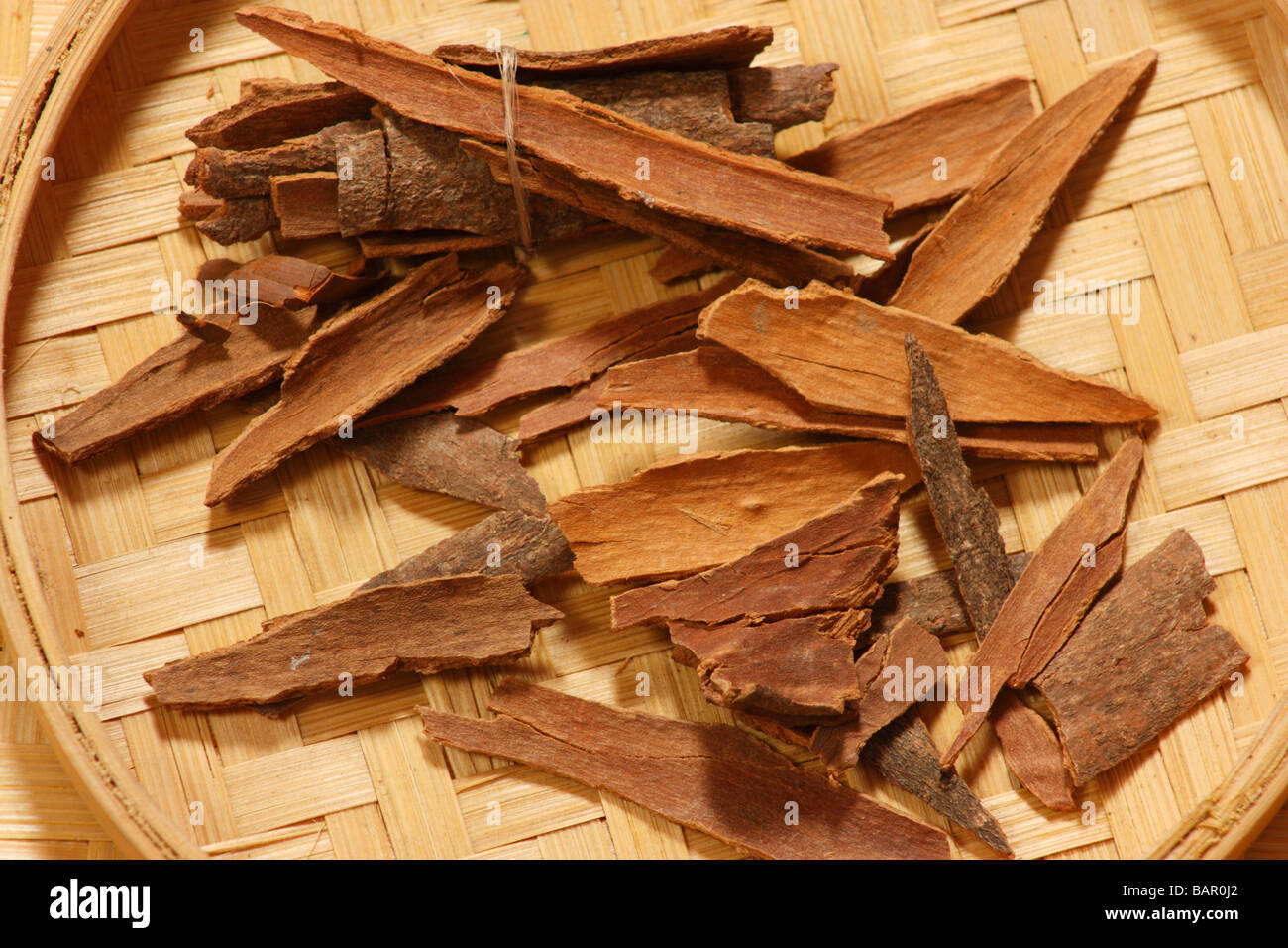 Cinnamon is a small evergreen tree from Sri Lanka, its bark widely used ...