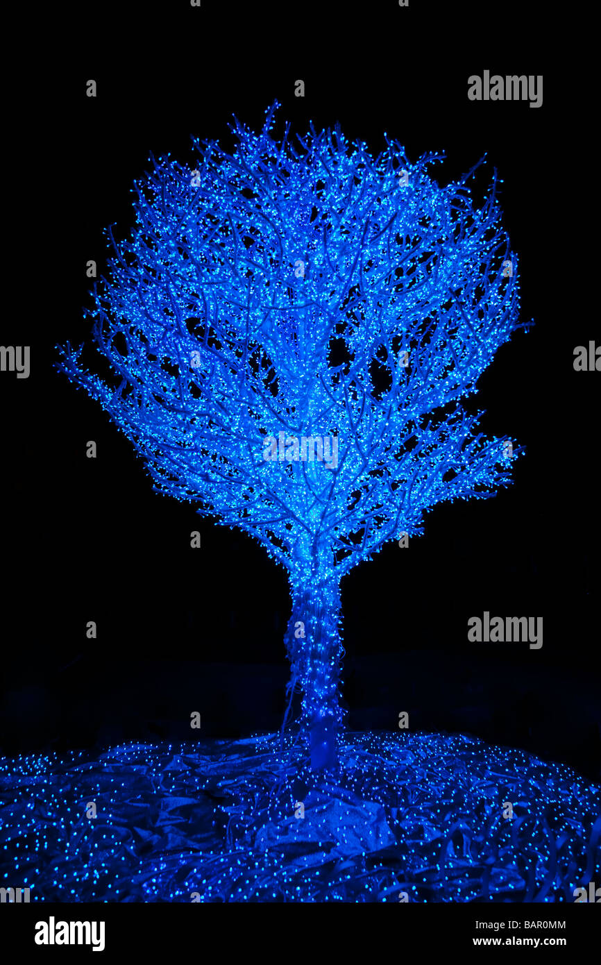 Blue Illuminated Tree Christmas in Hong Kong Asia Stock Photo - Alamy
