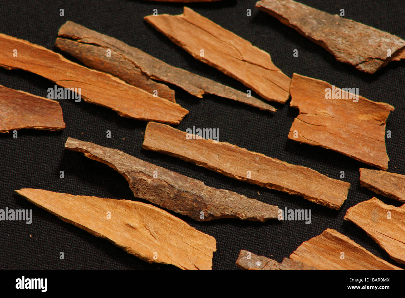 Cinnamon is a small evergreen tree from Sri Lanka, its bark widely used ...