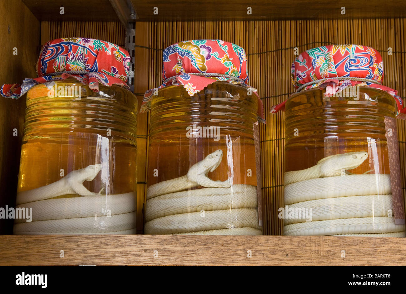Okinawan Snake Wine or Habushu on Display in one of the Many Tourist ...