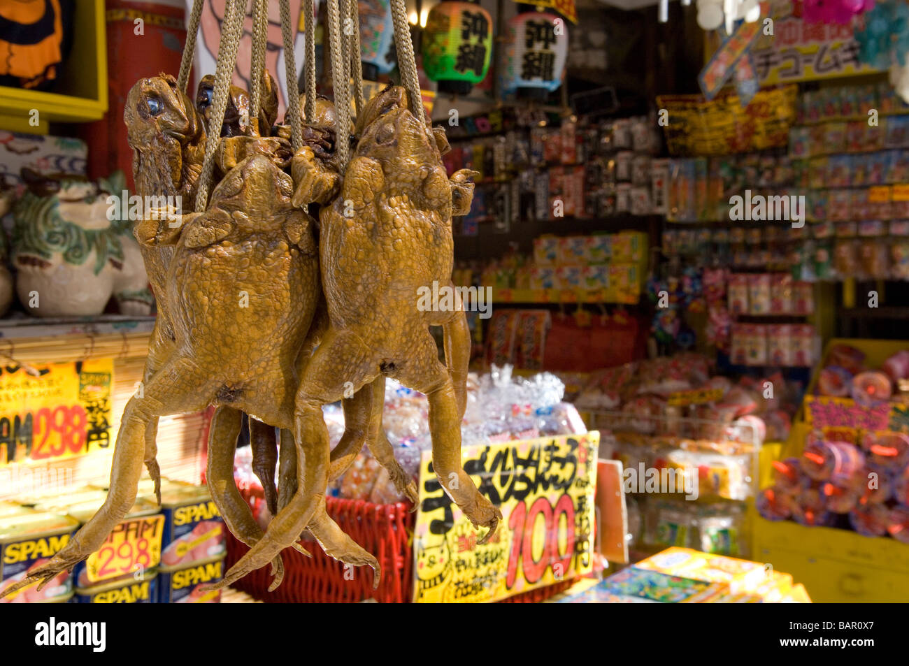 Novelty purses made out of Frog Skins in a souvenir shop on Kokusai ...