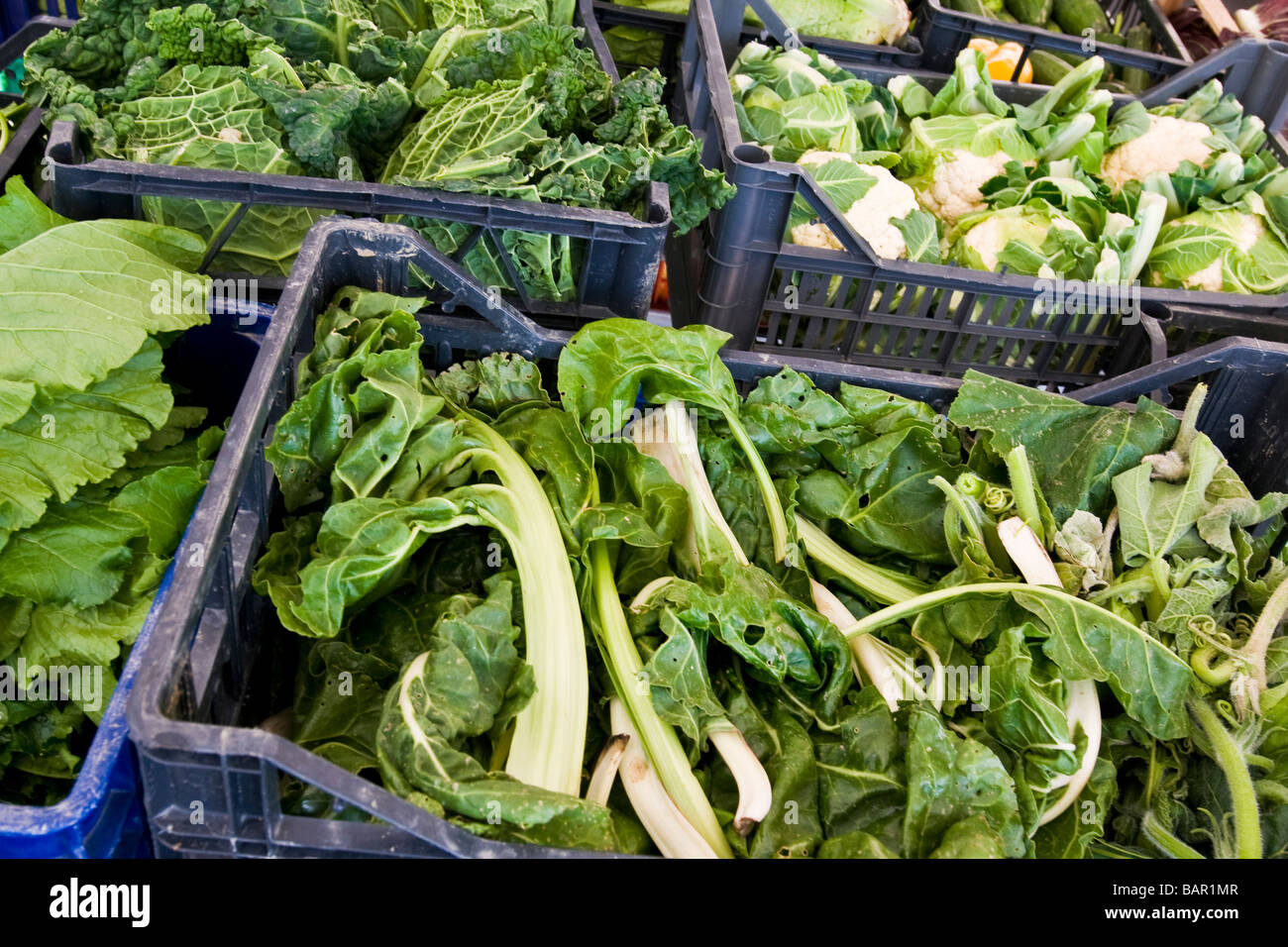 Coste hi-res stock photography and images - Alamy