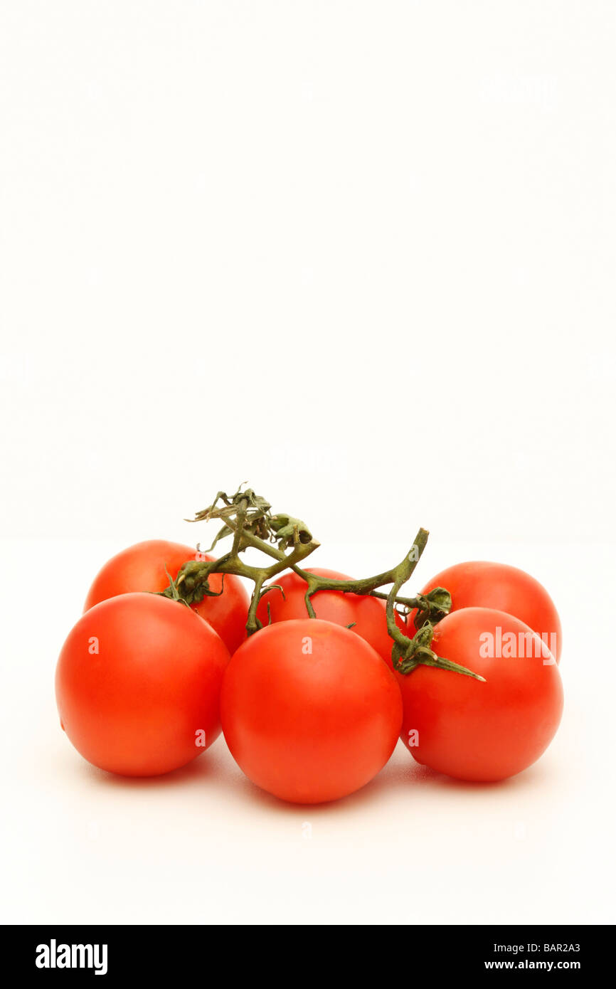 Tomatoes - tomato isolated (cutout, cut-out) on white background. Close ...