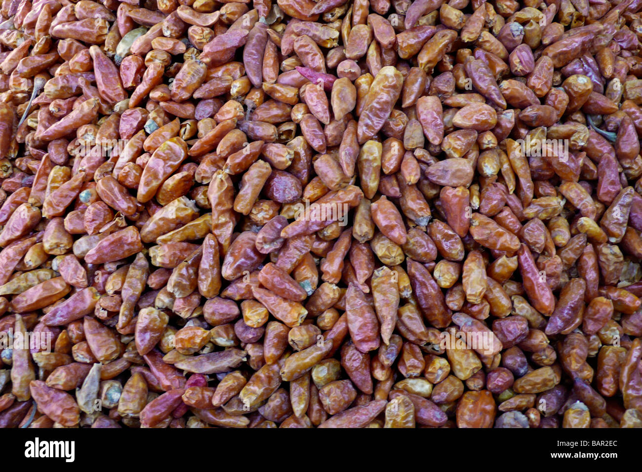 Sky hot chilli hi-res stock photography and images - Alamy