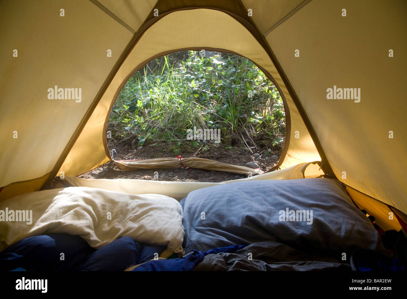 Tent Interior with Pillows Looking into the Forest Early Morning ...