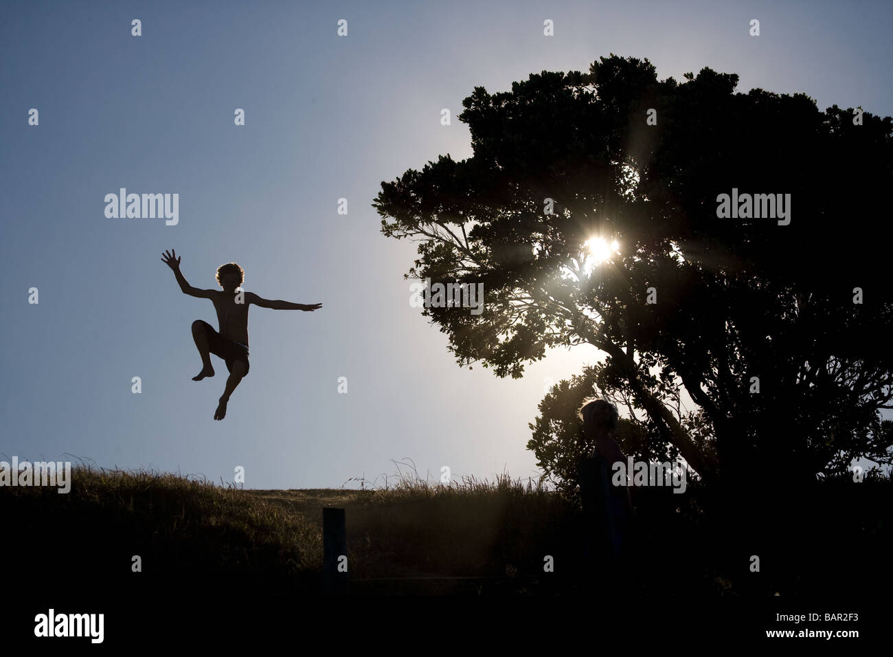 The tree of childhood in the rays of the sun hi-res stock photography ...