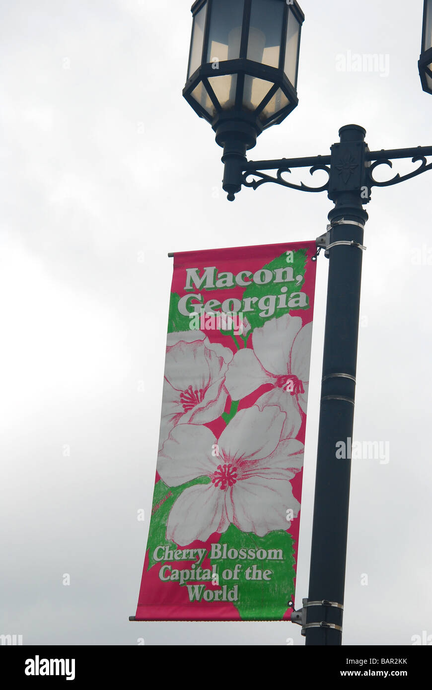 Macon, Georgia Cherry Blossom Capital of the World street sign Stock ...