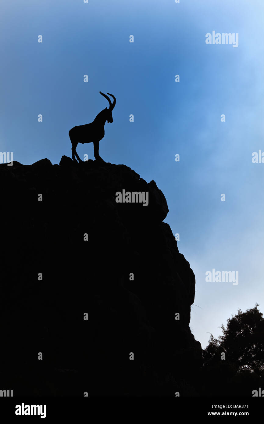 Monument to Cabra Hispanica the Spanish Mountain Goat at Mirador de ...