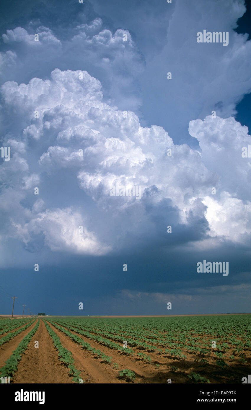 Supercell Structure High Resolution Stock Photography and Images - Alamy