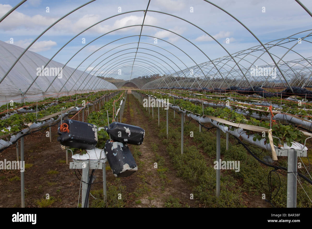 Plastic poly tunnel hi-res stock photography and images - Alamy