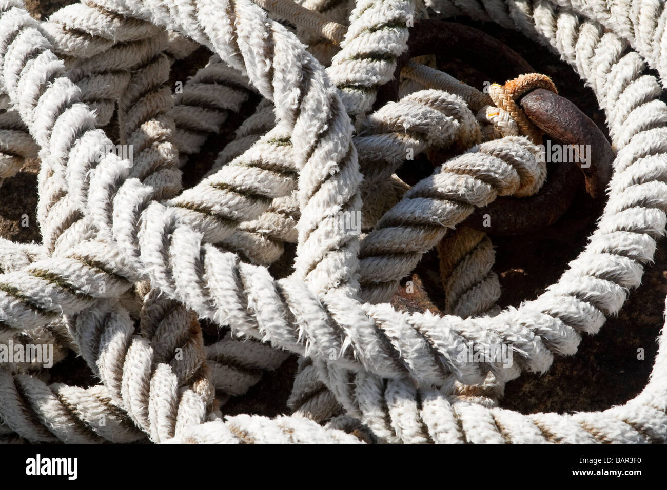 A coiled mooring rope Stock Photo - Alamy