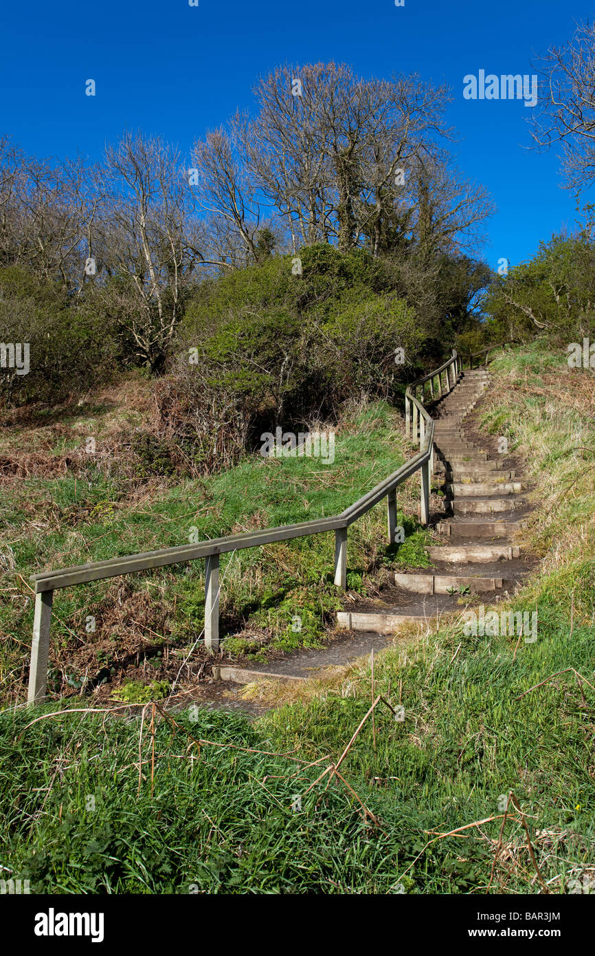 Pathway with steps hi-res stock photography and images - Alamy