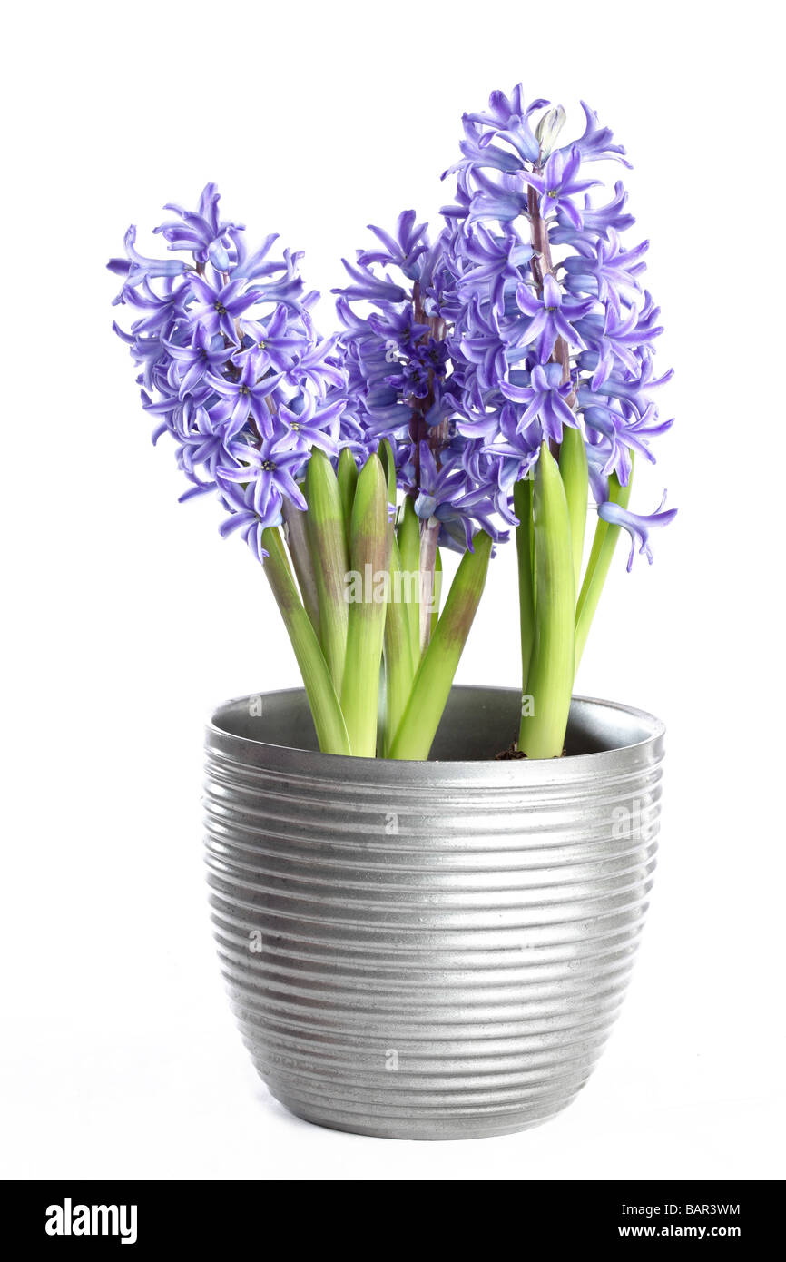 June on blue background Cut Out Stock Images & Pictures - Alamy